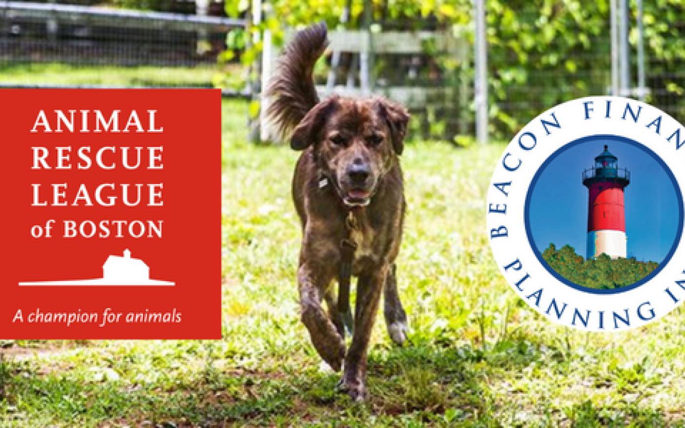 Fee-Only Retirement Planner In Cape Cod | Beacon Financial Planning